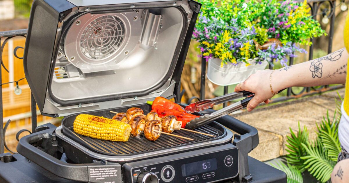 How To Cook On An Electric Barbecue | Mob