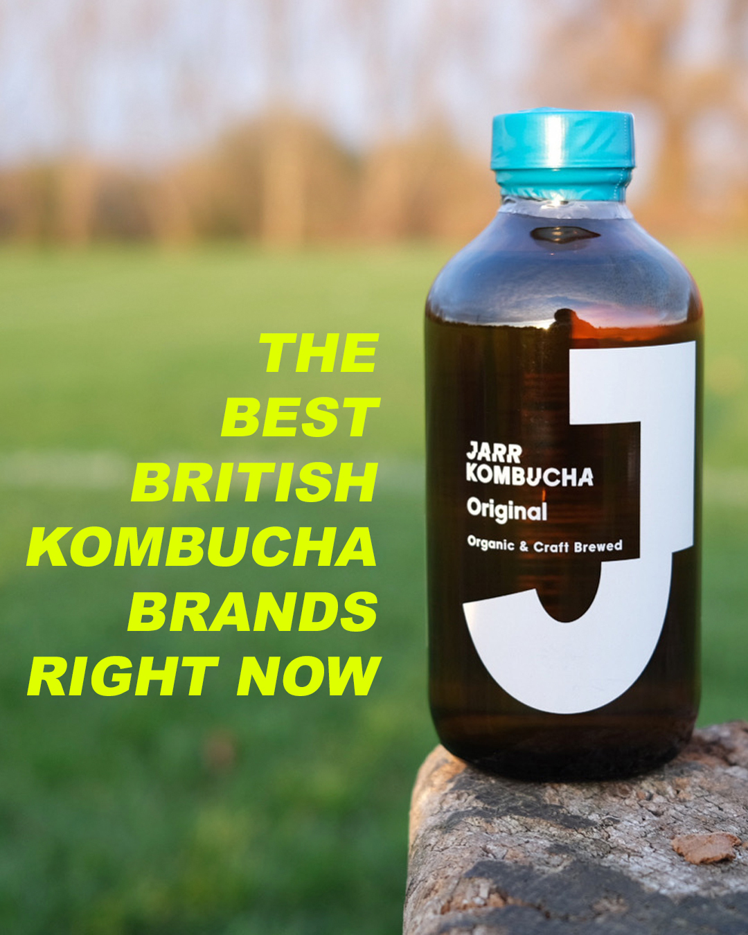 Kombucha Tea Brands